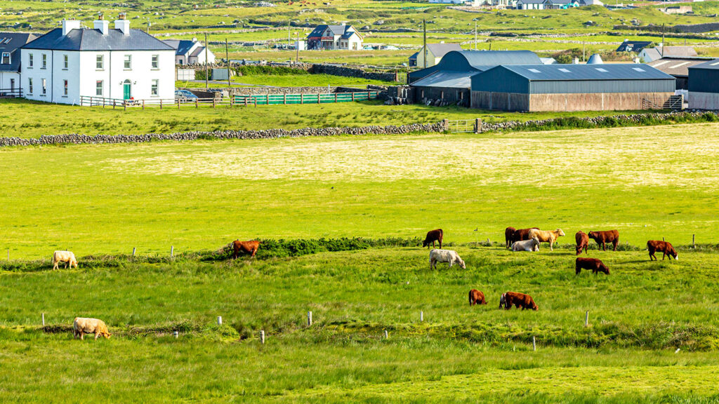 Solar Panels for Farms Cork | Agricultural Solar Installation